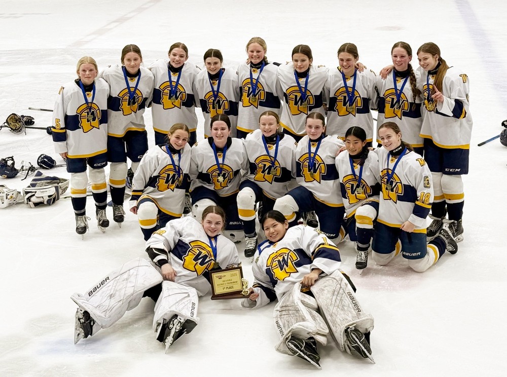 Wayzata Youth Hockey Association | 15U A District 3 Champions!