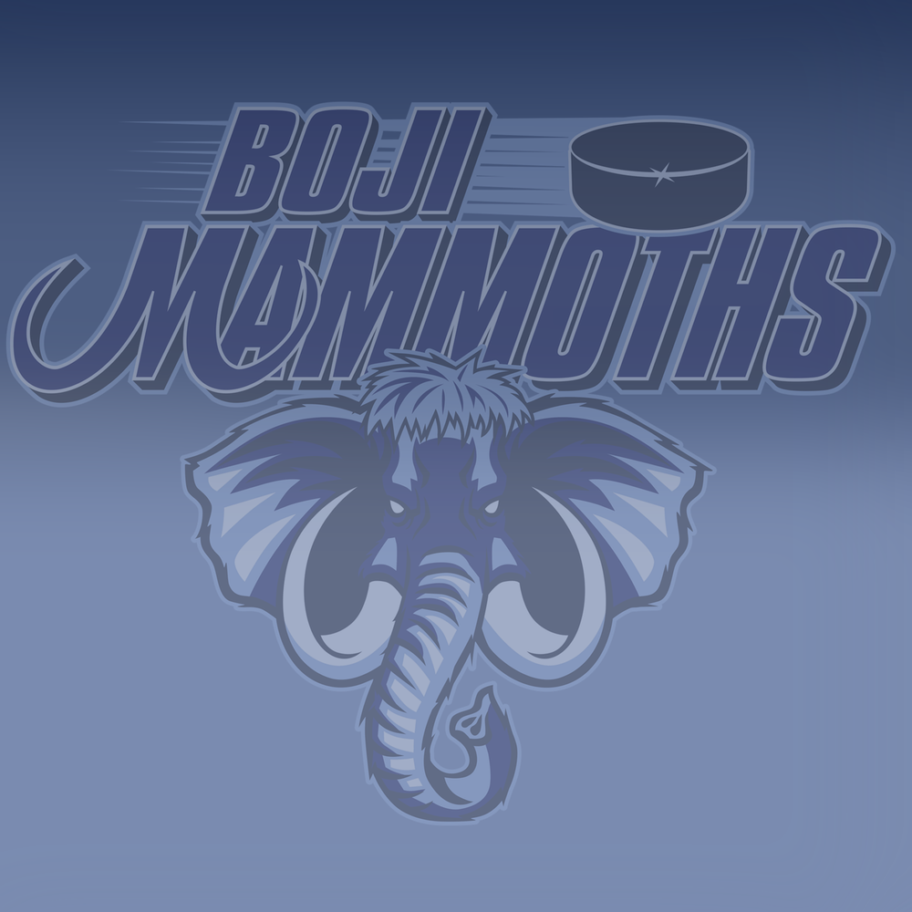 Lakes Area Hockey | Directors, Staff & Coordinators