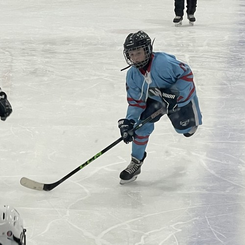 Madison Capitols AAA Hockey | Spring 9U Roster | AAA Spring Season | 2025