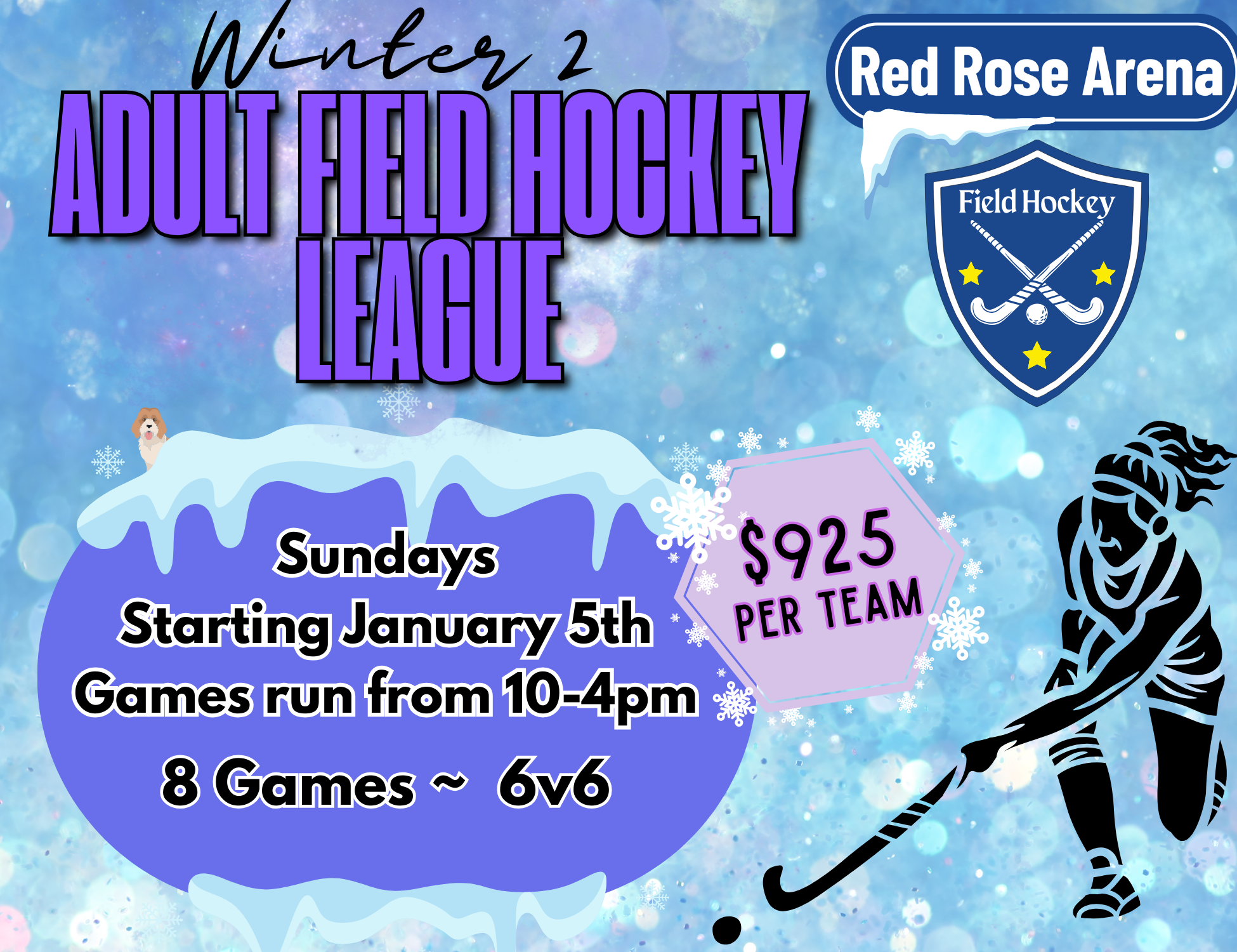 Red Rose Arena | Winter 2 Programs
