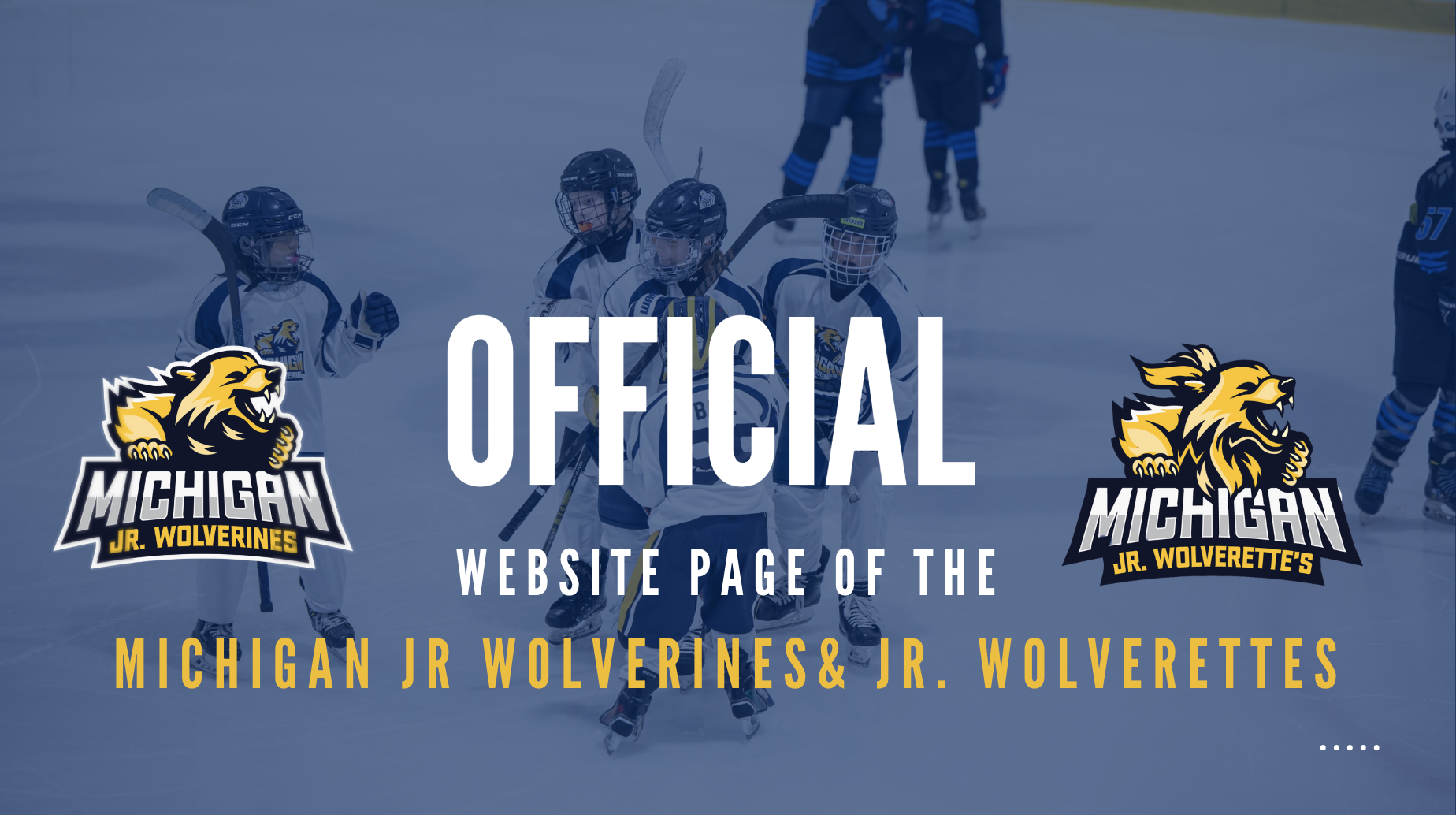 Michigan Jr. Wolverines