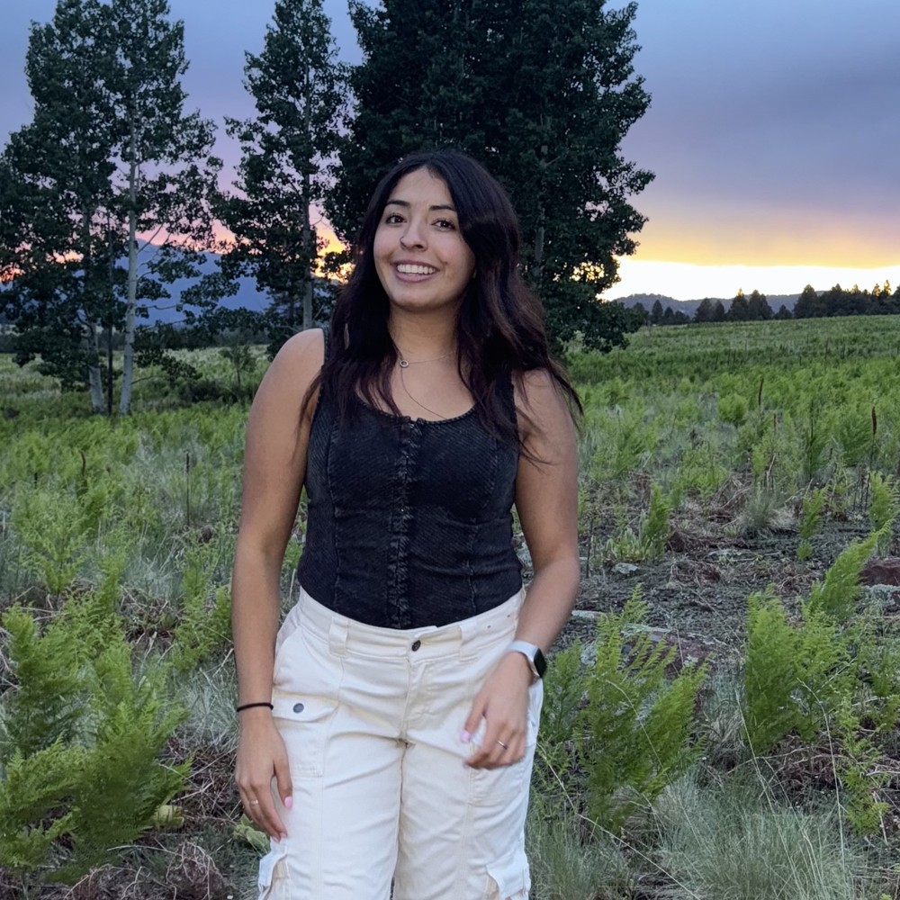 Ascent Volleyball Club | About Us