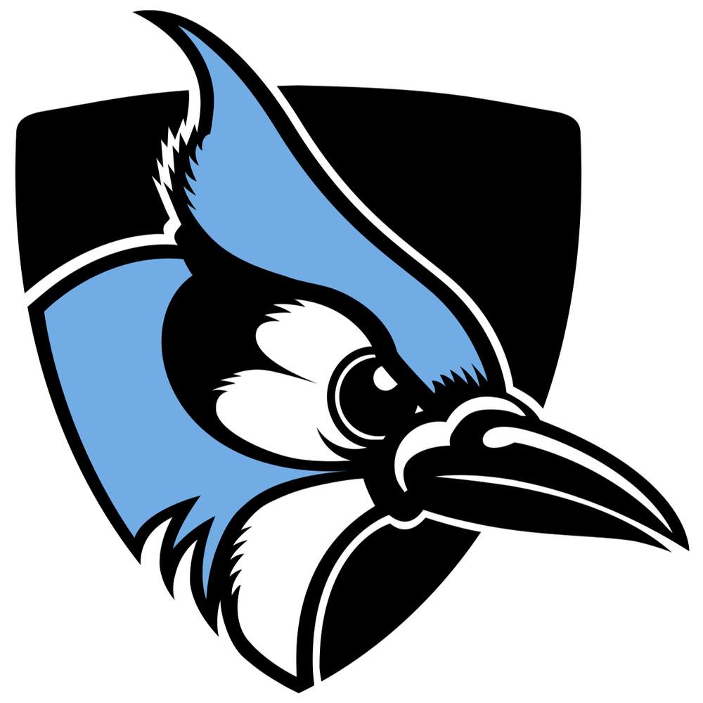 CT Capitals Baseball | Alumni