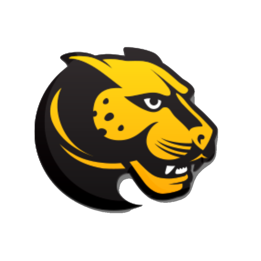 CT Capitals Baseball | Alumni