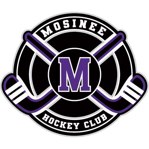 Mosinee Hockey Club | High School - Varsity | Youth Hockey | 2024-2025
