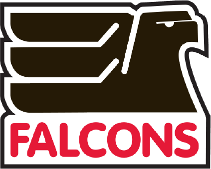Falcons Hockey Association | About Us