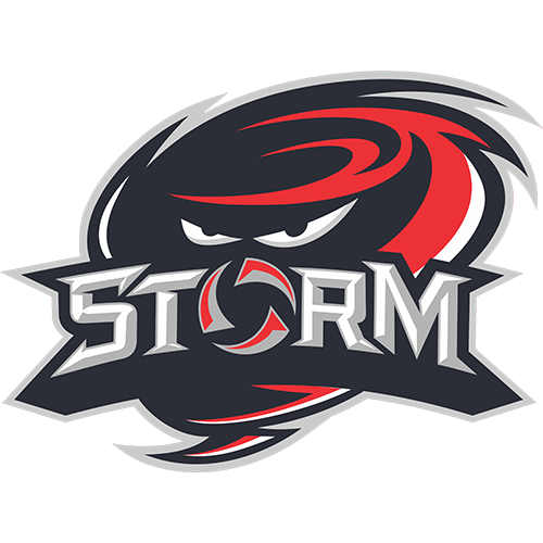 Northeast Storm Hockey Club | 14U Development Team