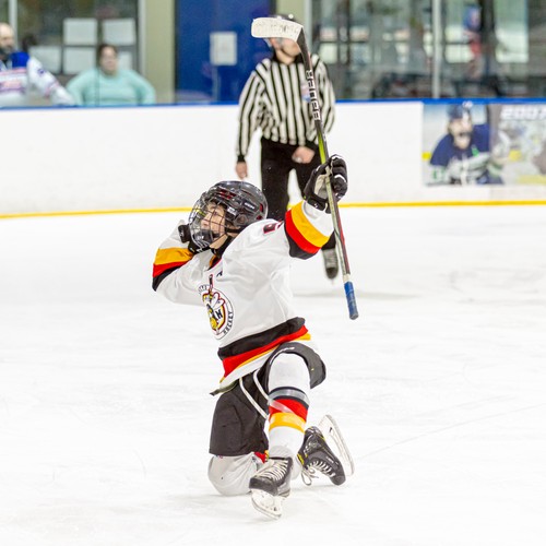 Pittsburgh Predators Hockey Club | 2011 AA Roster | Pittsburgh ...