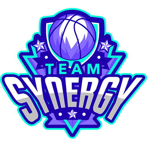 Team Synergy Basketball