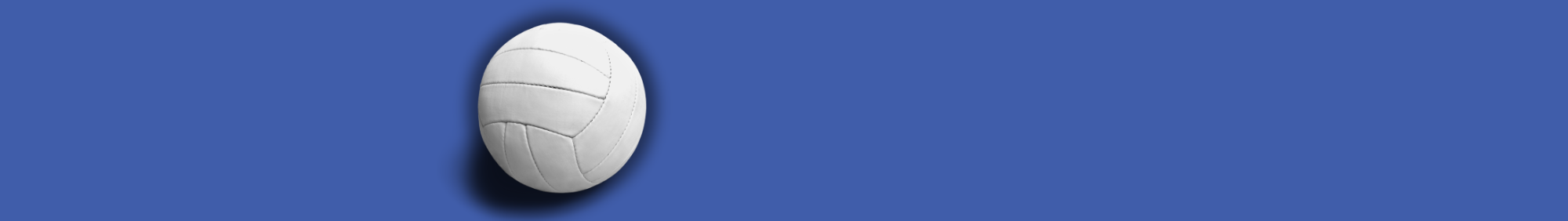 Programs 4 all kids | Volleyball Clinics