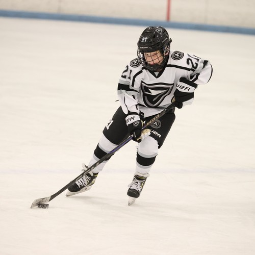 Arrows Youth Hockey | 12U Silver Elite Roster | 2025 - 2026 Season ...