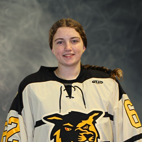 Golden Wolves Hockey | 14UAA (Depp) Roster | Golden Wolves | 2025-2026 ...