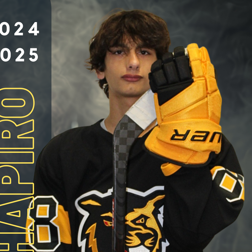 Golden Wolves Hockey | 16UA (R/D/S) Roster | Golden Wolves | 2025-2026 ...