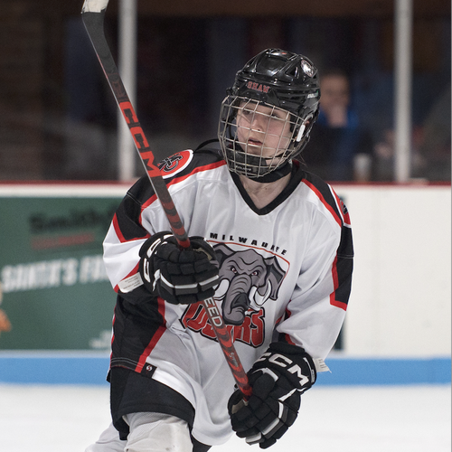 Wisconsin Elite Hockey League | 14U Girls South East Roster | Girls 14U ...