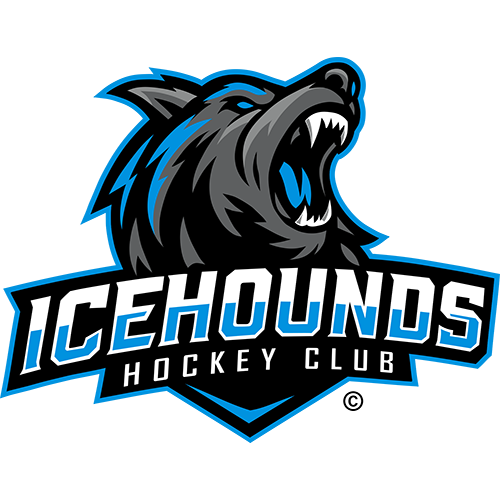 Icehounds Hockey Club | 12U - Patterson | Travel Teams | 2025-2026 ...