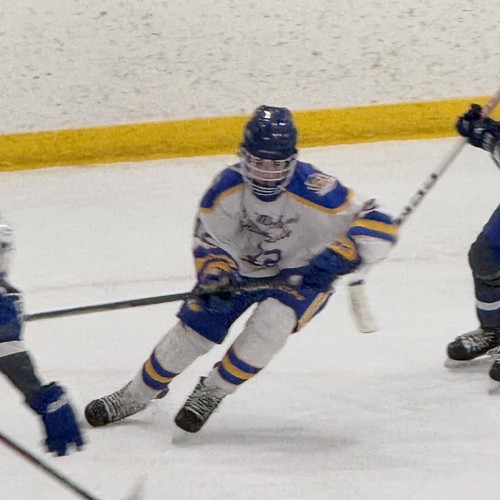 St. Michael - Albertville Youth Hockey | Peewee AA Roster | TRAVEL ...