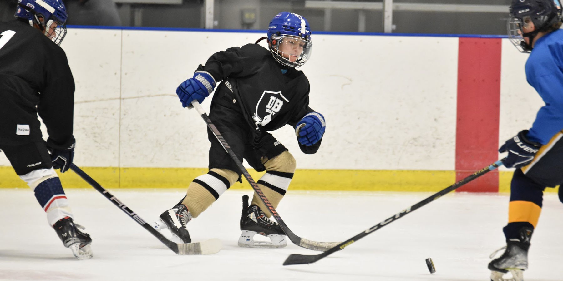 DB Hockey Academy | Chicago Area Ice Hockey Training & Camps