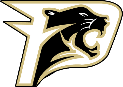 Palatine Amateur Football Association