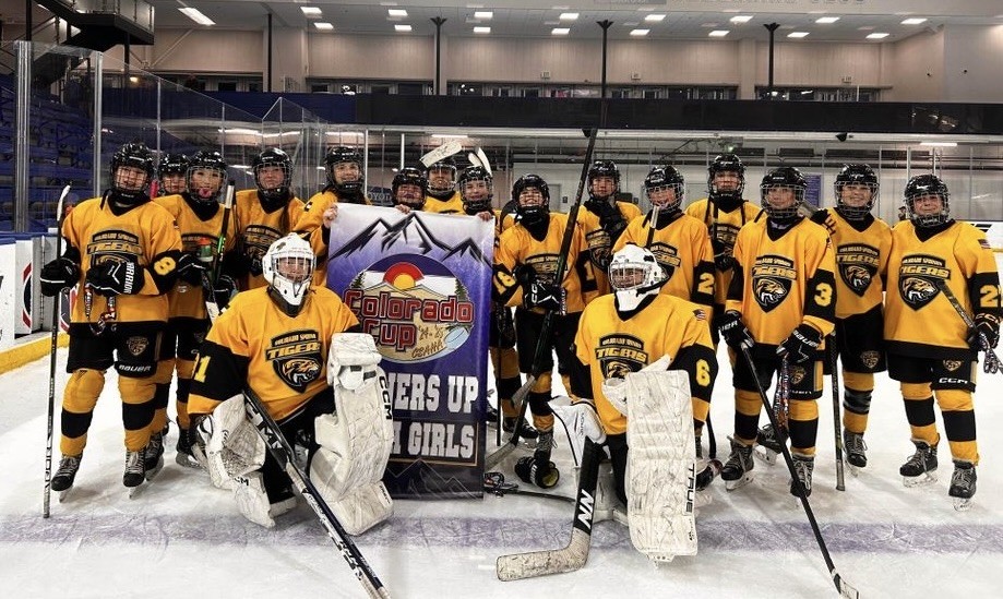 Colorado Springs Amateur Hockey | Colorado Cup Tournament
