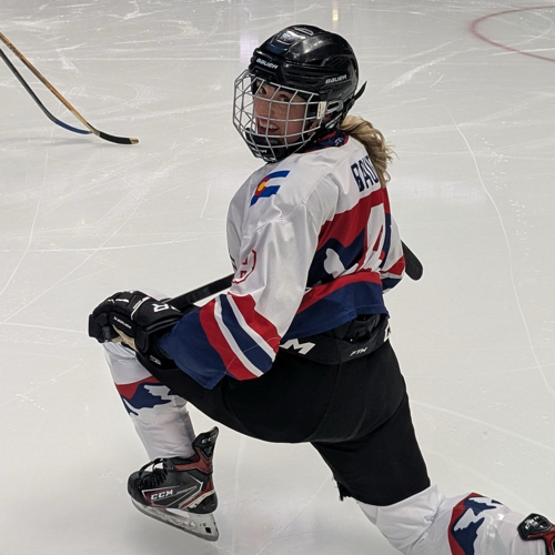 Denver Women's Hockey League | Blue Shell Breakaways Roster | Denver ...