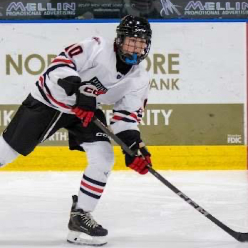 Duluth Amateur Hockey Association | East Bantam AA Roster | Travel ...
