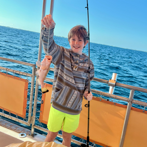 Hingham Little League | Rays - McDevitt Law Group, P.C. Roster | Little ...