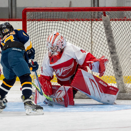 Danbury Hattricks | 10u/12u Selects Roster | 2024 Danbury Spring ...