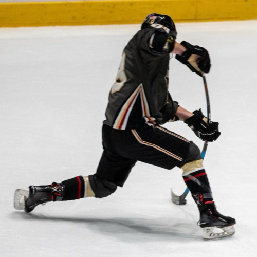 Saint Viator Lions Hockey Club | Spring Varsity 2 Roster | Spring ...