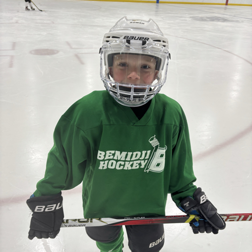 Bemidji Youth Hockey Association | Mite 2 Roster | Regular Season ...