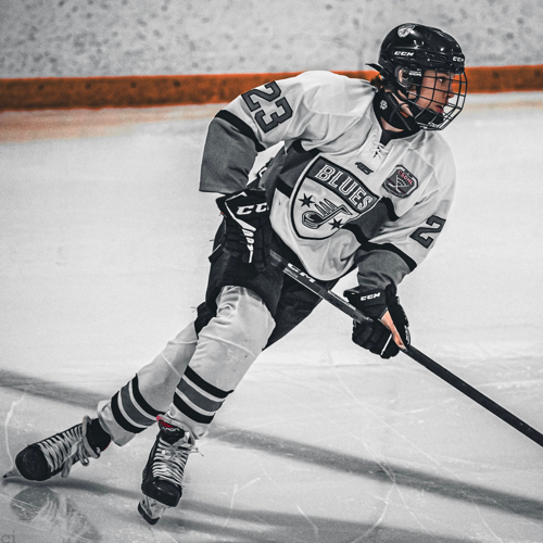 Saint Viator Lions Hockey Club | Varsity 2 Roster | Regular Season ...