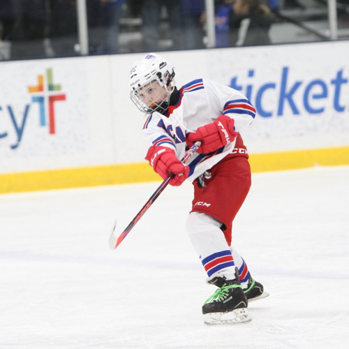 Decatur Youth Hockey Association | 14U B2 Roster | Travel Hockey | 2025 ...