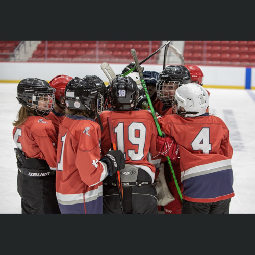 Sara-Placid Lakers Hockey | 12U Lakers Red (PeeWee) Roster | Sara ...