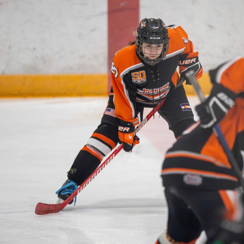 Monarch Girls Hockey | Coyotes HPHL 2024 Roster | HPHL 2024 Spring ...