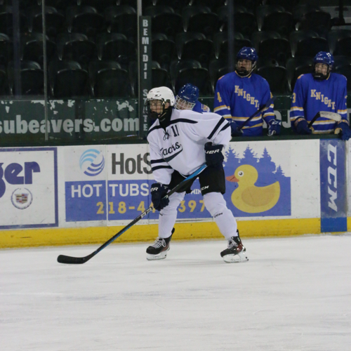 Bemidji Youth Hockey Association | Junior Gold Roster | Regular Season ...
