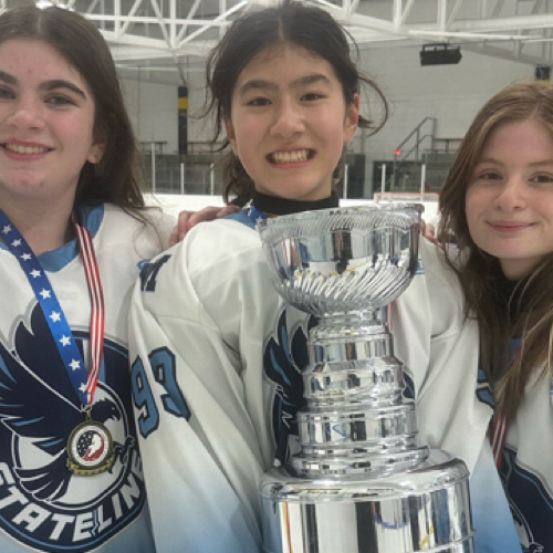 Mamaroneck Youth Hockey | Stateline 14U Elite Roster | STATELINE HAWKS ...