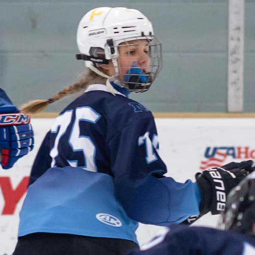 Mamaroneck Youth Hockey | Stateline 14U Elite Roster | STATELINE HAWKS ...