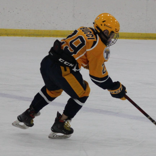 Pittsburgh Predators Hockey Club | 2013 AAA Roster | Pittsburgh ...