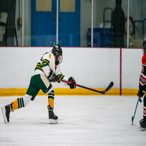 Vermont Junior Cats Hockey | U16 Split Roster | Jr Catamounts Girls ...