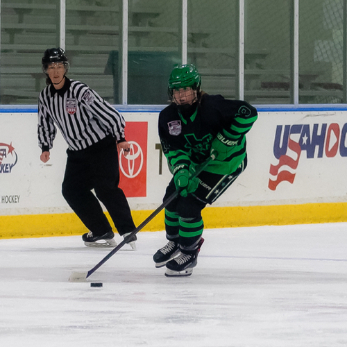 Dallas Stars Elite Girls Hockey | U19AAA Roster | Dallas Stars Elite ...