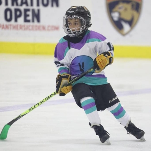 Golden Wolves Hockey | 10UAA (Depp) Roster | Golden Wolves | 2025-2026 ...