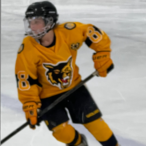 Golden Wolves Hockey | Bantam 14UA Black Roster | Golden Wolves | 2023 ...