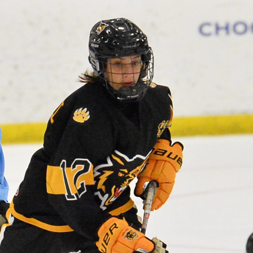 Golden Wolves Hockey | Bantam 14UA Black Roster | Golden Wolves | 2023 ...