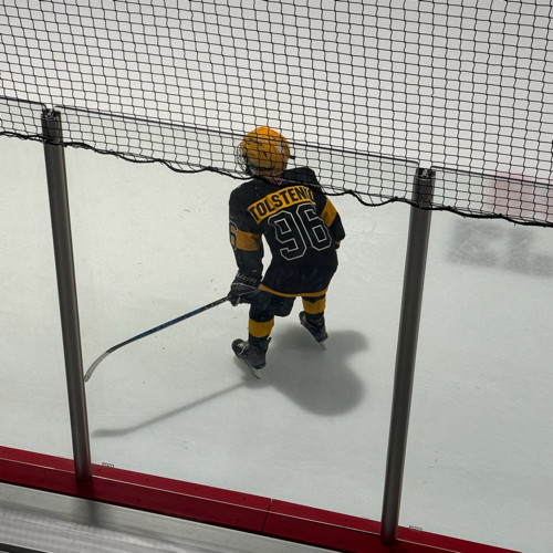 Golden Wolves Hockey | Peewee 12U 2012's Roster | Golden Wolves | 2023 ...