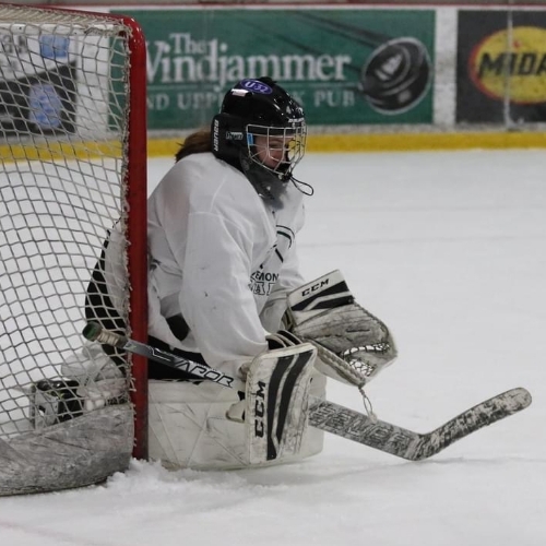 Vermont Junior Cats Hockey | U16 Split Roster | Jr Catamounts Girls ...