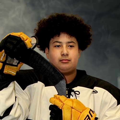 Golden Wolves Hockey | 16UA (R/D/S) Roster | Golden Wolves | 2025-2026 ...