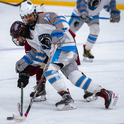 Vermont Junior Cats Hockey | U16 Split Roster | Jr Catamounts Girls ...