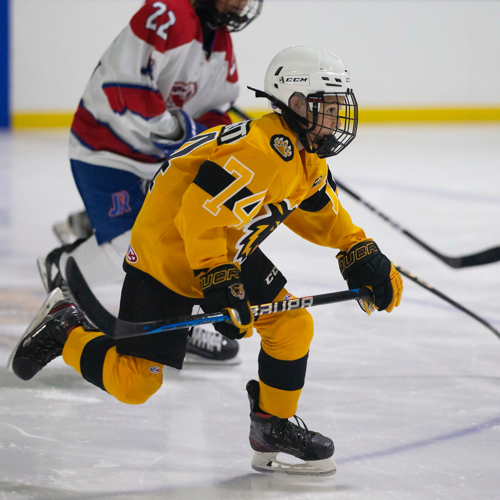 Golden Wolves Hockey | Bantam 14UAA Roster | Golden Wolves | 2023-2024 ...