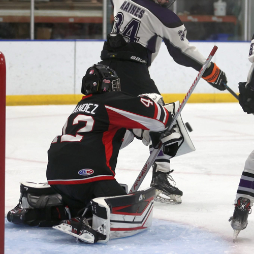 LSJ Warriors Hockey | LSJ Varsity Roster | LSJ High School Hockey Club ...