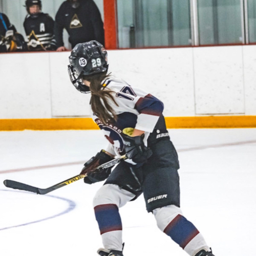 High Plains Hockey League | Lady Coyotes Roster | HPHL Spring | HPHL ...