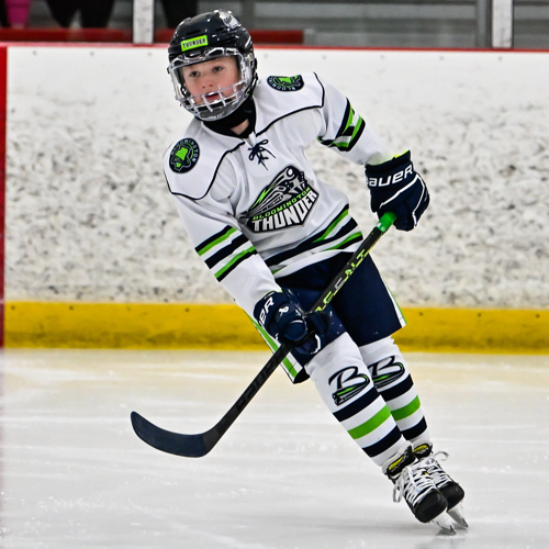 Bloomington Youth Hockey | 12U Prospects Roster | Regular Season | 2024 ...